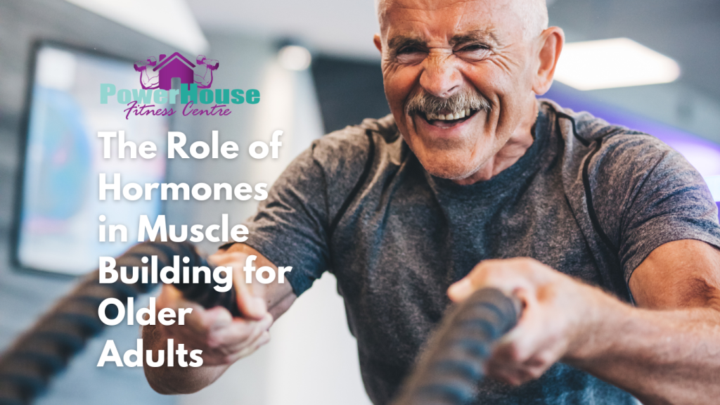 The Role of Hormones in Muscle Building for Older Adults: How to ...